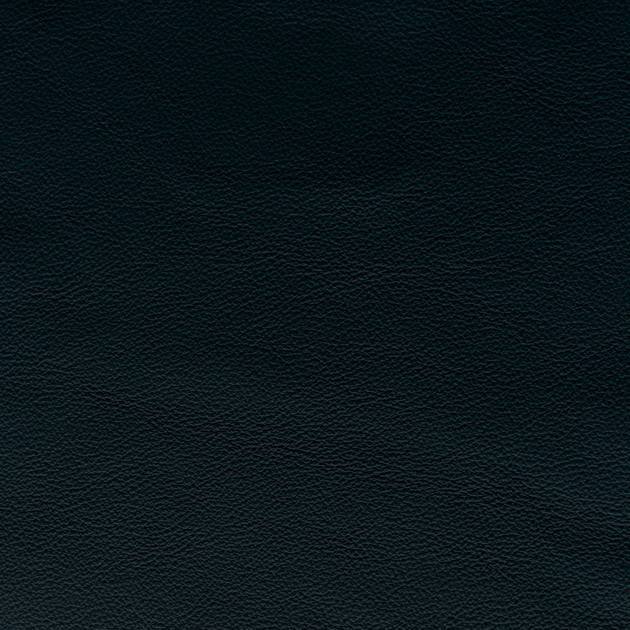 Desirabull - Twilight – Jerry Pair Leather